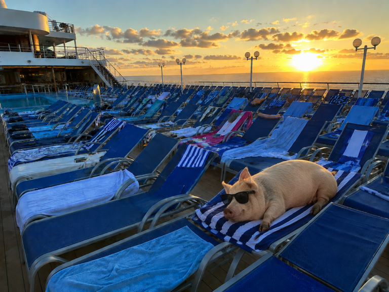 The Holland America Have It All Package: Everything You Need to Know